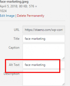 Write for SEO - How to Create Content for Organic Search Traffic - STAENZ